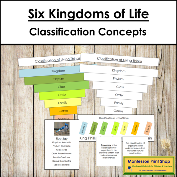 Six Kingdoms of Life - Classification Concepts - Made By Teachers