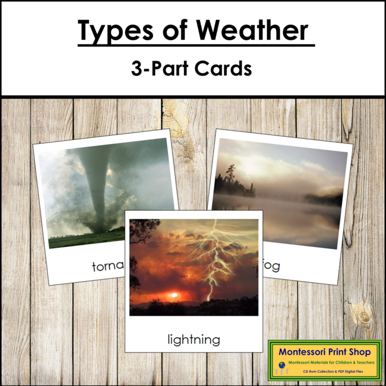 Types of Weather 3-Part Cards - Montessori Nomenclature | Made By Teachers