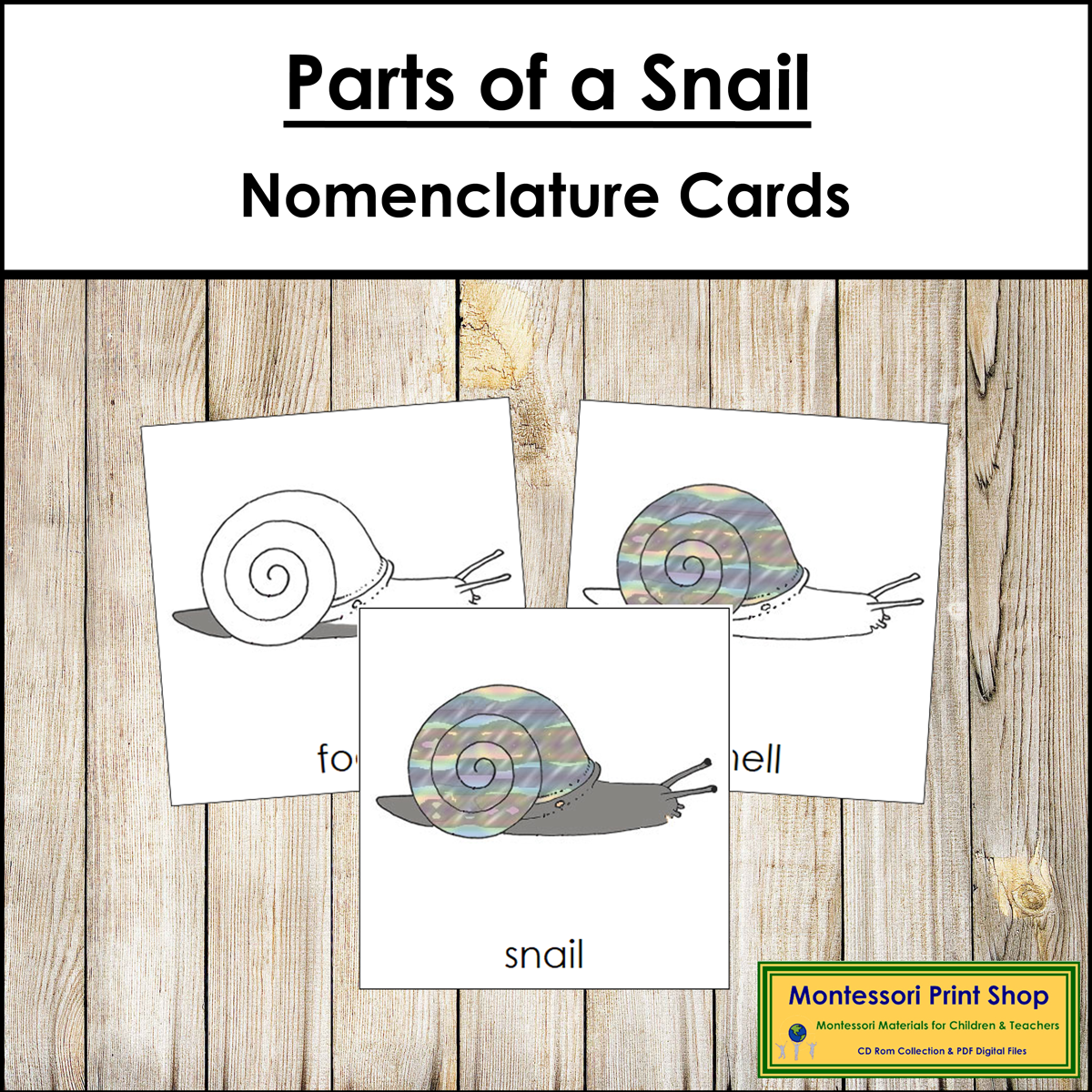Human Organs 3-Part Cards & Charts - Montessori Nomenclature | Made By ...