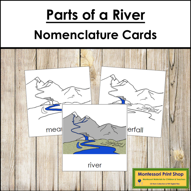 Parts of a River 3-Part Cards - Montessori Nomenclature - Made By Teachers