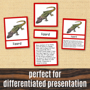 Amphibians Reptiles Cards and Booklet - Montessori Zoology Animal ...