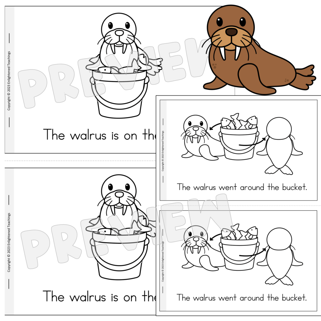 Zoo Walrus Prepositions Emergent Reader Reference Guide Zoo ...