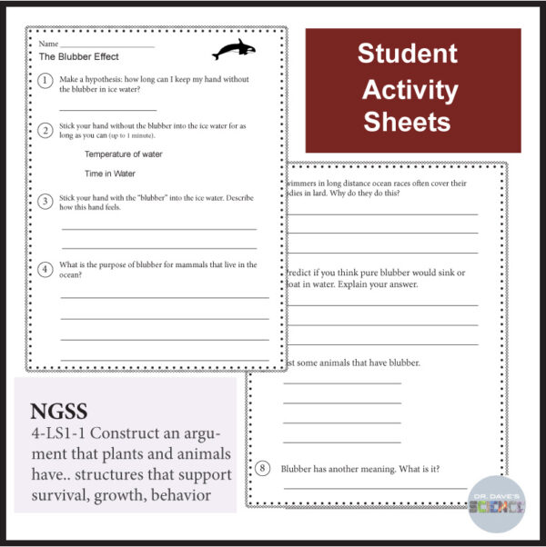 Blubber Experiment Reading Comprehension Arctic Animal Adaptations ...