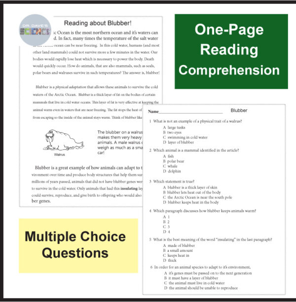Blubber Experiment Reading Comprehension Arctic Animal Adaptations ...