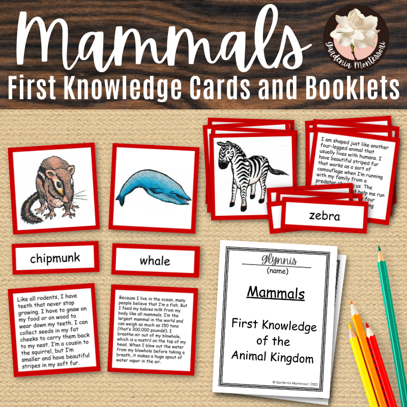 Teaching Resources and Printable Worksheets | Made By Teachers