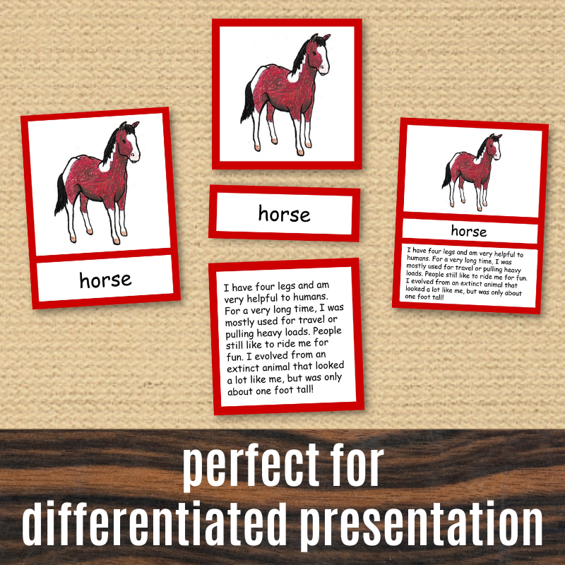 Mammals Cards and Booklets - Montessori Zoology Animal Classification ...