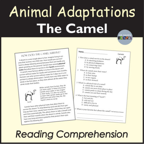 Camels in the Desert, Physical Adaptations Science Reading ...