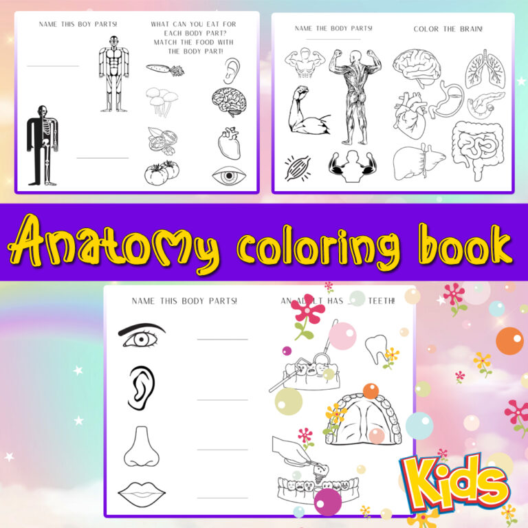 Anatomy Coloring Book, Human Body Coloring pages For Kids, Human Brain ...