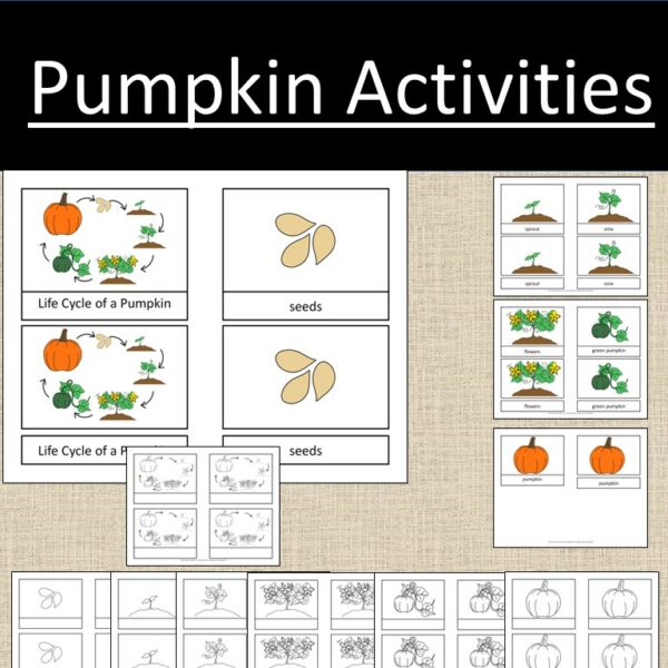 Pumpkin Fall Seasonal Activities Life Cycle and Parts of a Pumpkin ...