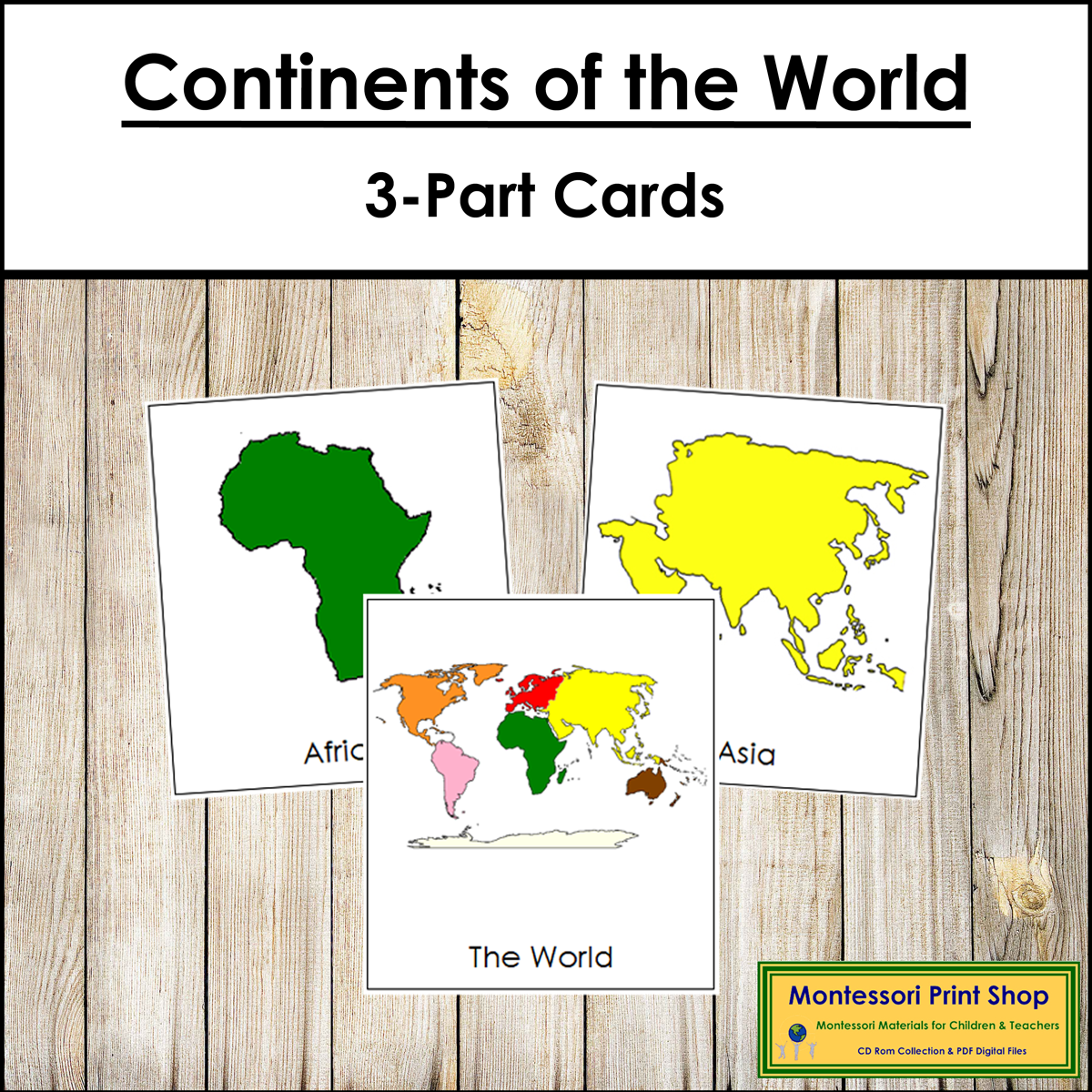 Types of Big Cats - Montessori 3-Part Cards - Vocabulary, ESL | Made By ...