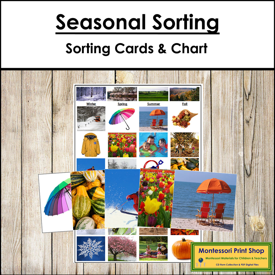 Animal Coverings (Scales, Feathers & Fur) - Sorting Cards & Control ...