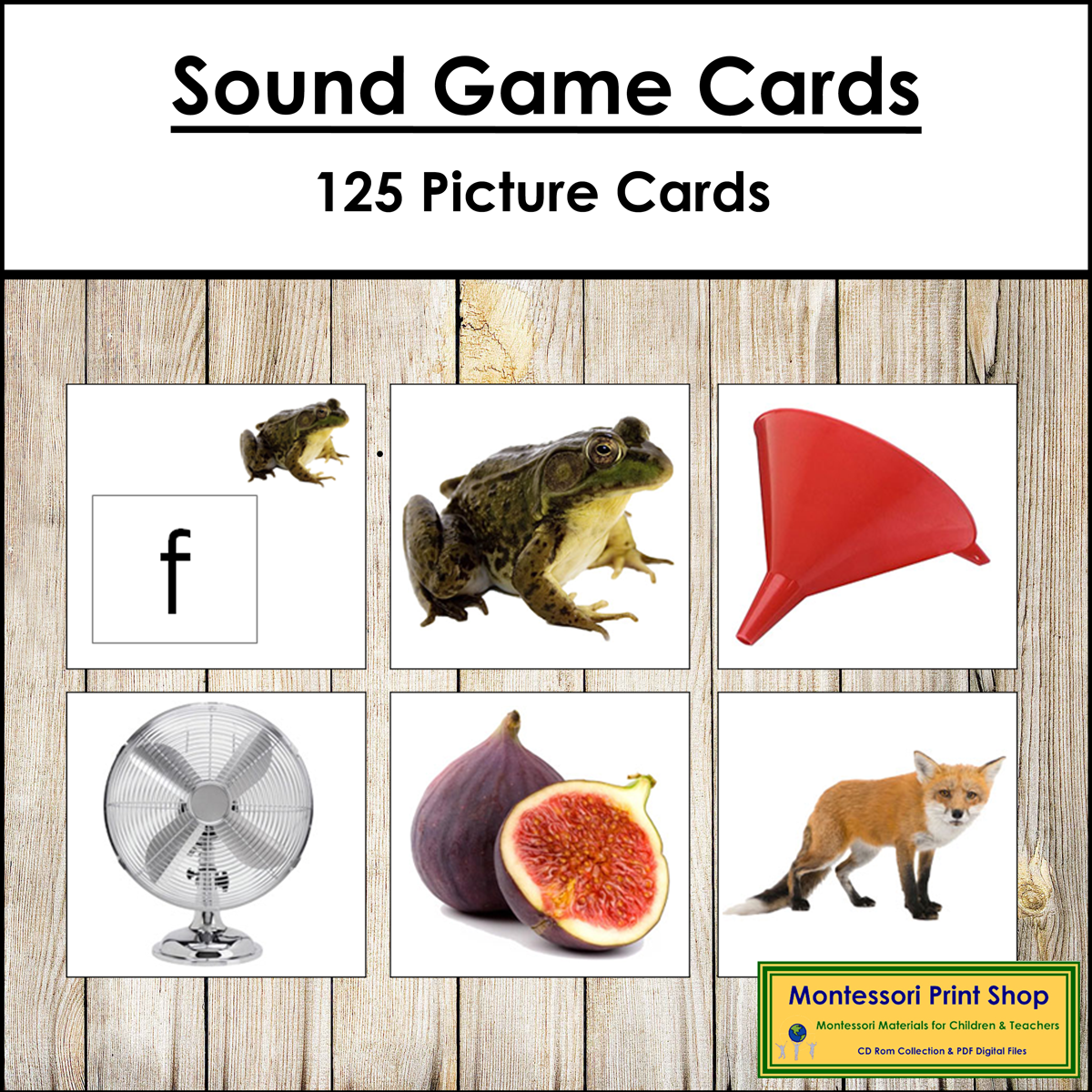 Parts of a Squirrel Book - Montessori Nomenclature | Made By Teachers