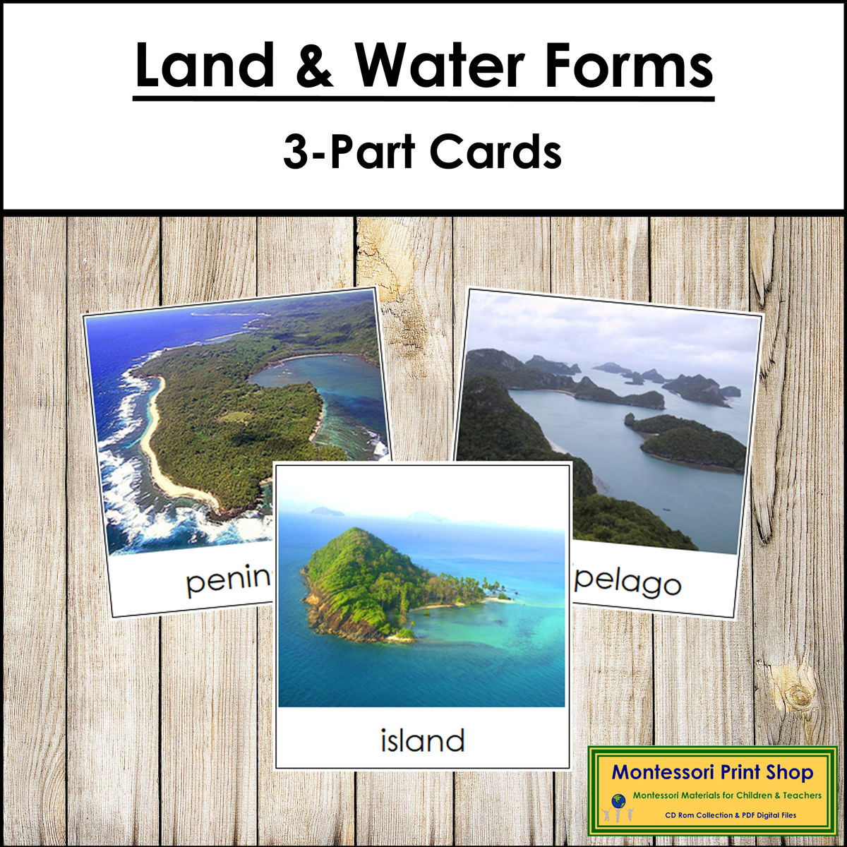 Plant and Animal Sorting Cards & Control Chart | Made By Teachers
