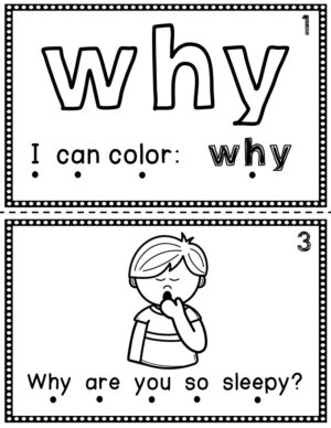 Sight Word Flip Book (Flipbook) - WHY | Made By Teachers