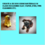 HACHIKO The True Story of a Loyal Dog By Pamela S. Turner ...