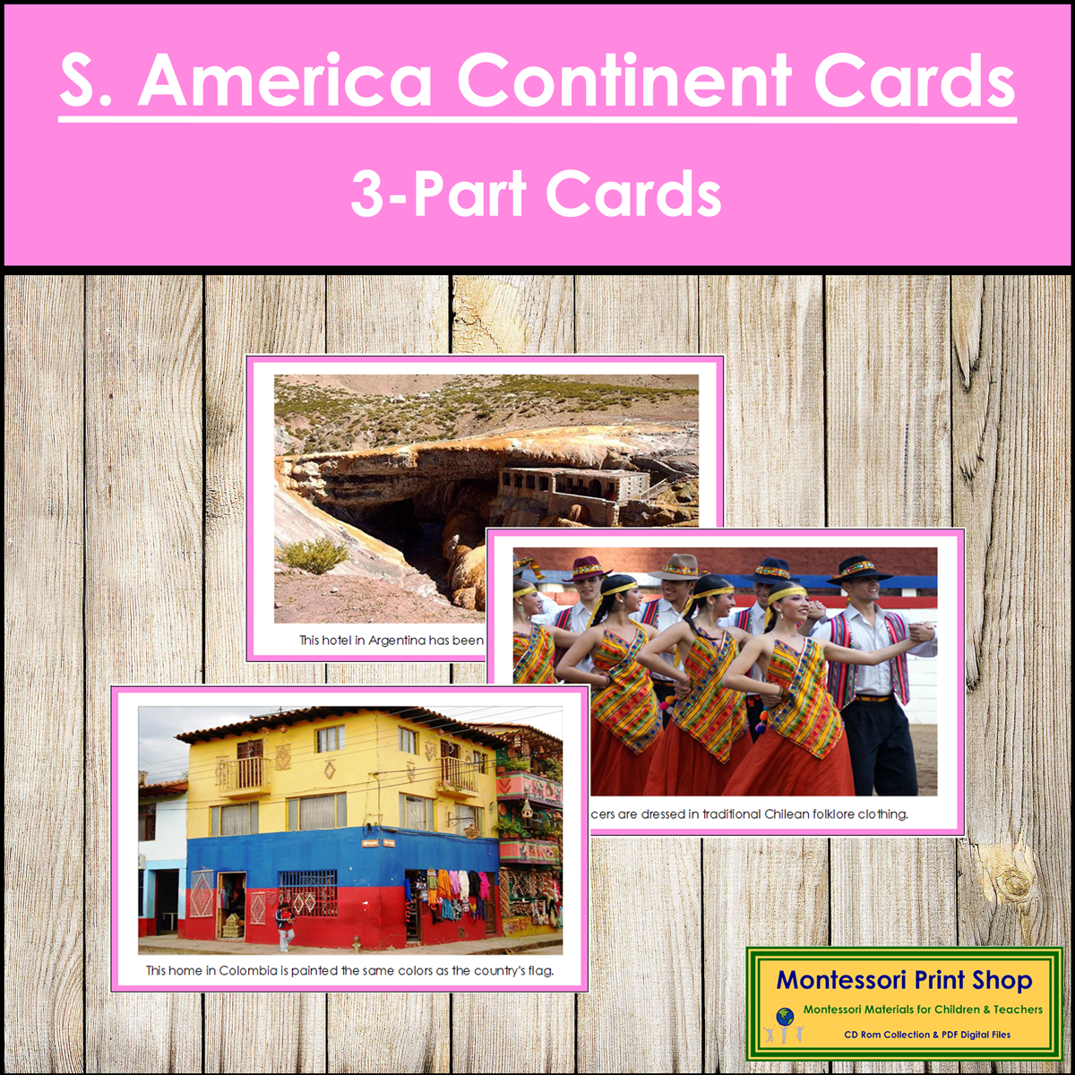 Animals and Their Homes Matching Cards | Made By Teachers