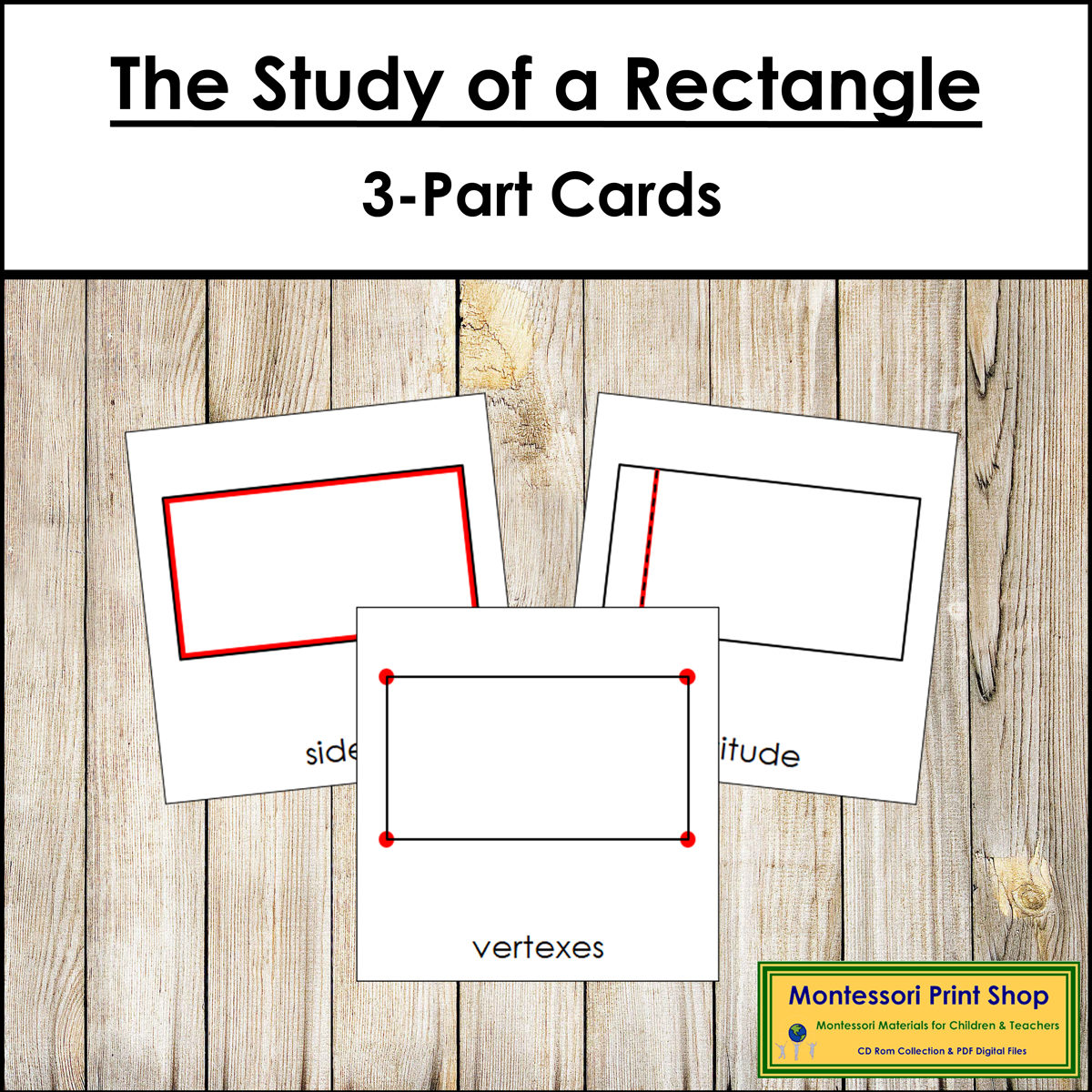 Parts of a Bulb 3-Part Cards - Montessori Nomenclature | Made By Teachers