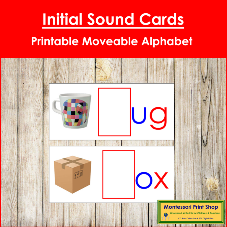 Initial Sound Cards for Printable Moveable Alphabet PRINT - Red/Blue ...