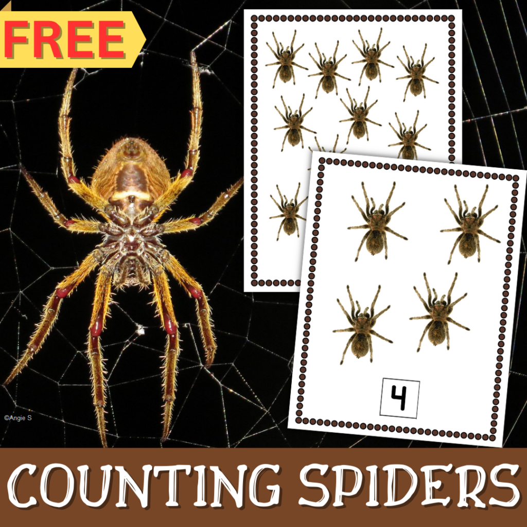 Spider Counting Halloween Math Activity Special Education Preschool ...
