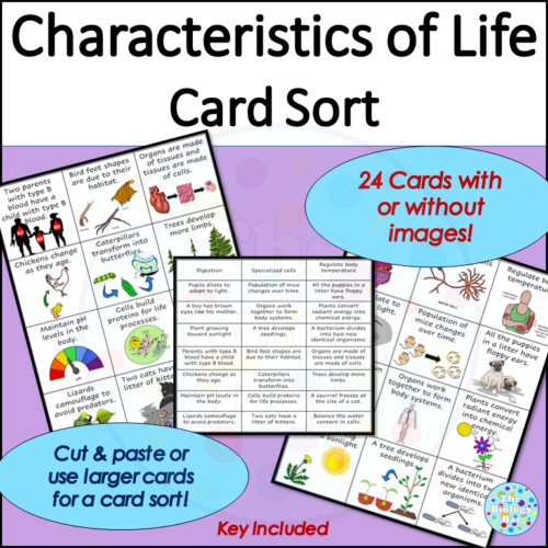 Characteristics of Life Card Sort - Made By Teachers