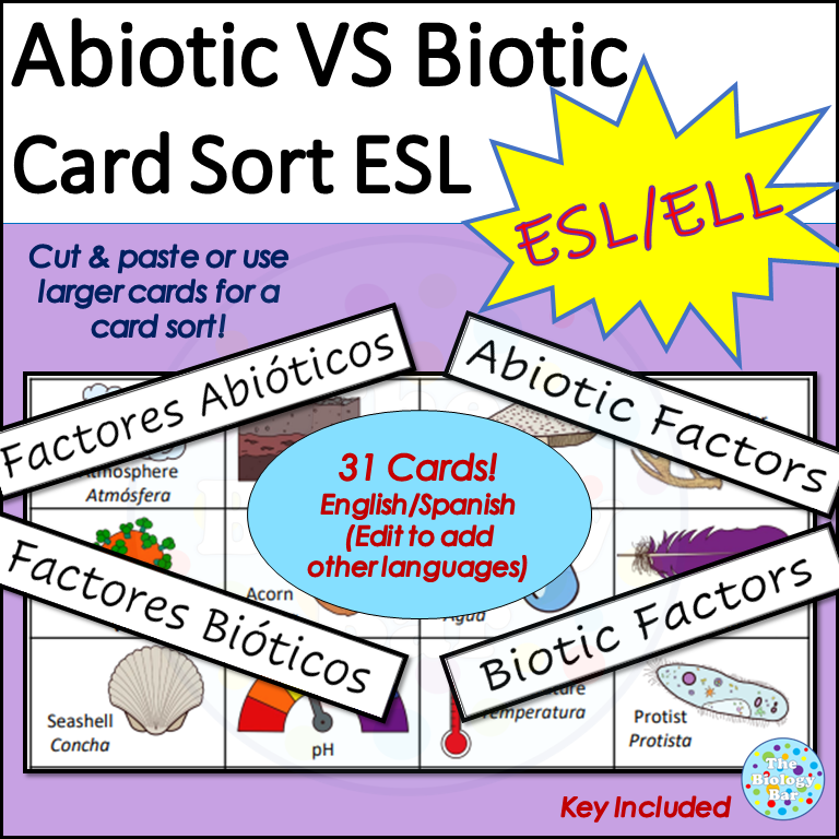 ESL Biology Biomolecule Notes PPT and Student Notes with Digital option ...