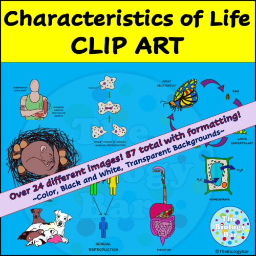 Characteristics of Life Biology Clip Art - Made By Teachers