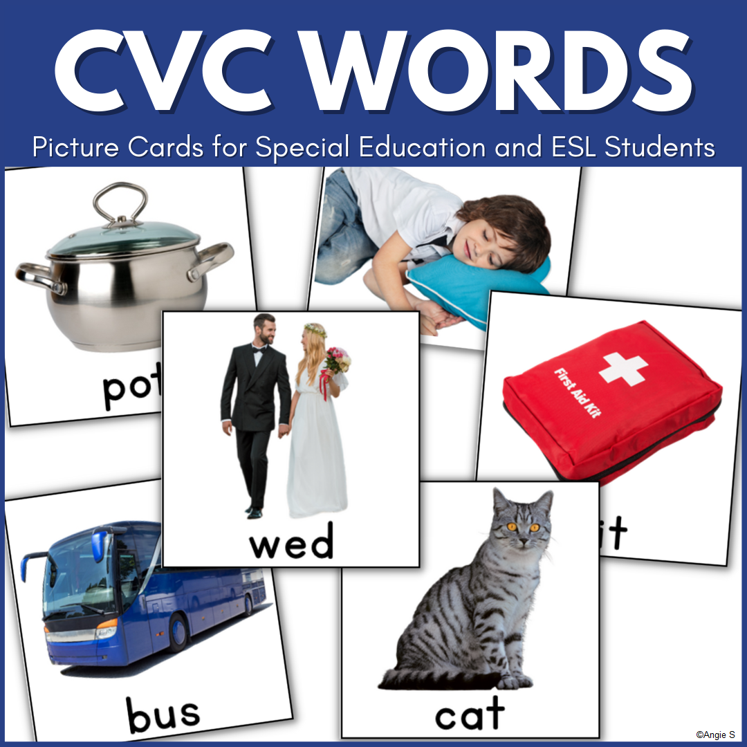Valentine`s Day Activity for Special Education | Category Sorting FREE ...