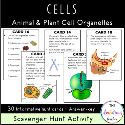 Cell Scavenger Hunt | Cell Organelles Activity | Worksheets ...