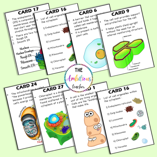 Cell Scavenger Hunt | Cell Organelles Activity | Worksheets ...