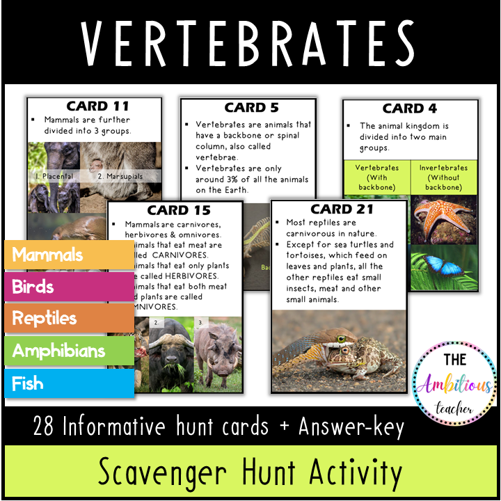 Animal Classification Posters | Vertebrates Colorful Posters for ...