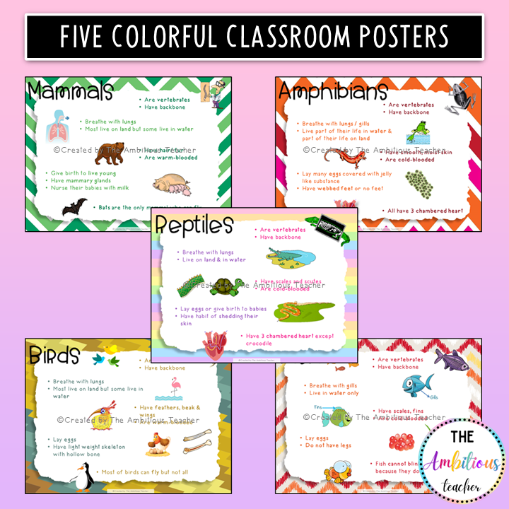 Animal Classification Posters | Vertebrates Colorful Posters for ...