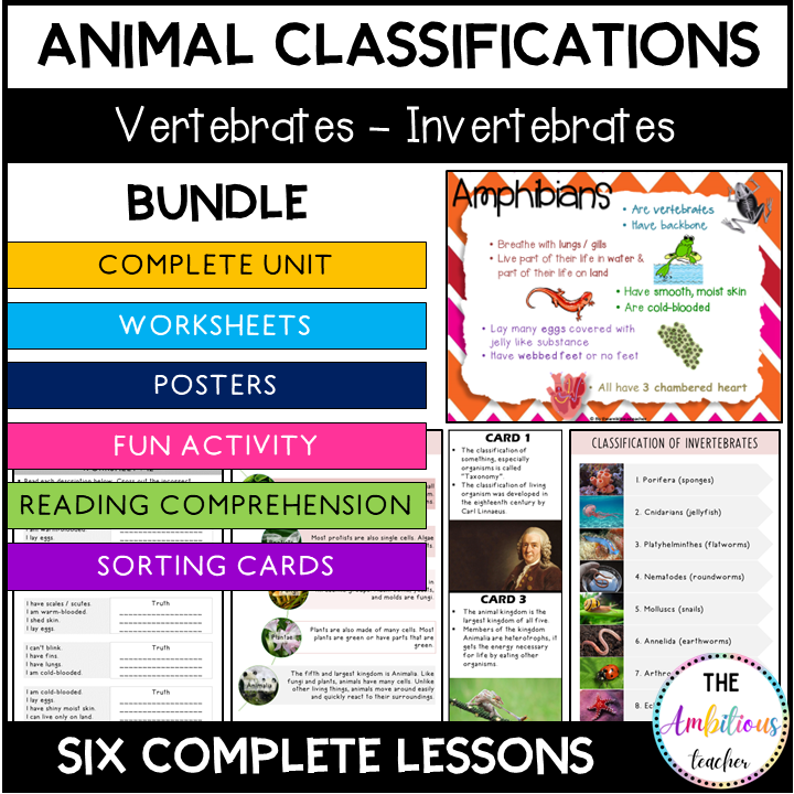 Animal Classification Posters | Vertebrates Colorful Posters for ...