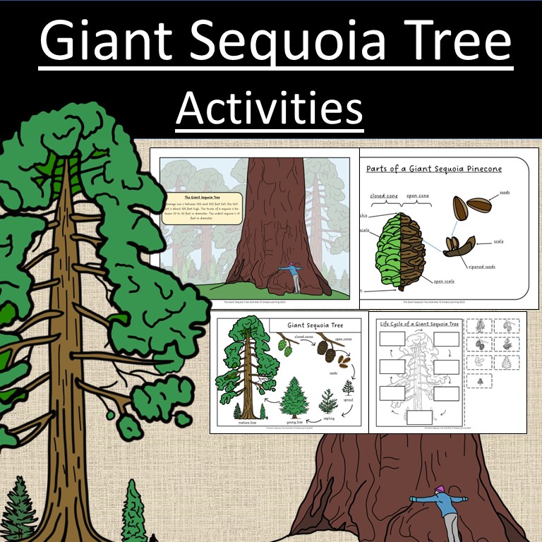 California State Research Cards Elementary Montessori Homeschool | Made ...