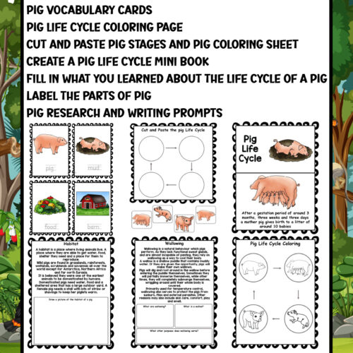 Pig Life Cycle Worksheets - Coloring, Sorting, Vocabulary, Tracing and ...