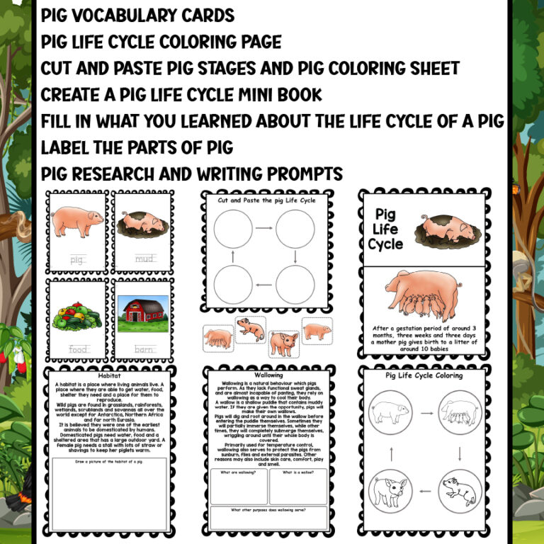 Pig Life Cycle Worksheets - Coloring, Sorting, Vocabulary, Tracing and ...