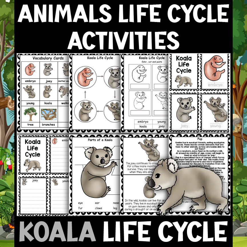 Koala Life Cycle Worksheets - Coloring, Sorting, Vocabulary, Tracing ...