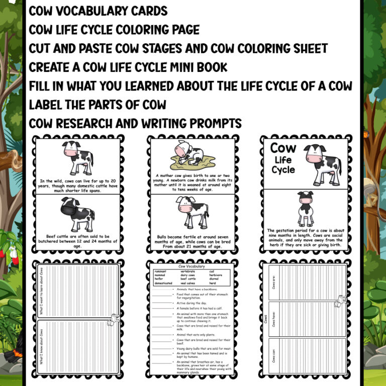 Cow Life Cycle Worksheets - Coloring, Sorting, Vocabulary, Tracing and ...