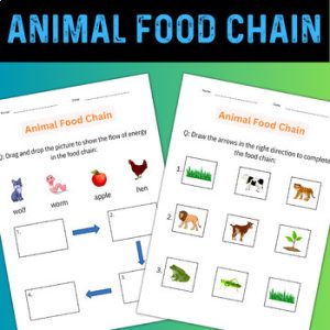 Printable Animal Food Chain Worksheet and Activity - Cut And Paste for ...