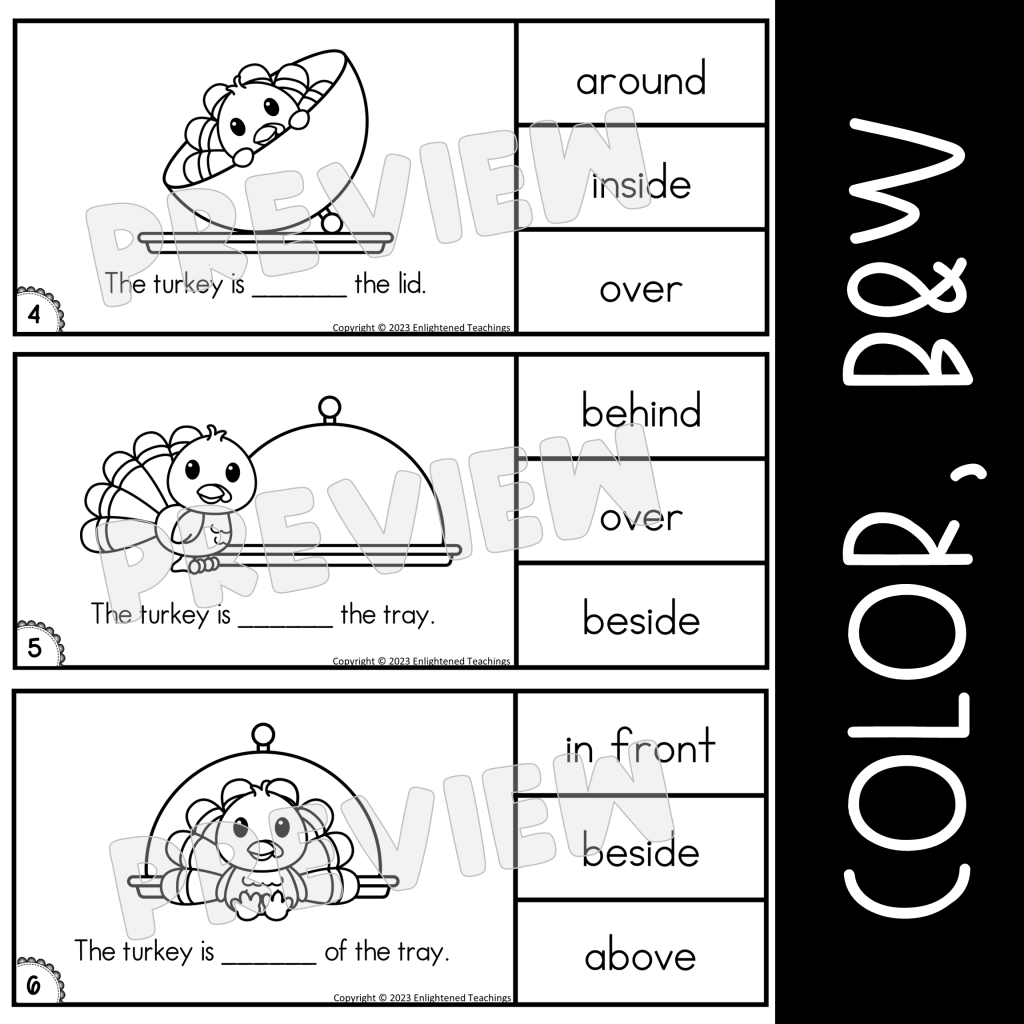 Turkey Prepositions BUNDLE Turkey Adapted Book, Clip Cards, Emergent ...