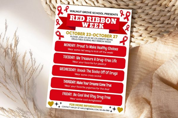 DIY Red Ribbon Week Itinerary Flyer Template, School Drug Free Spirit ...