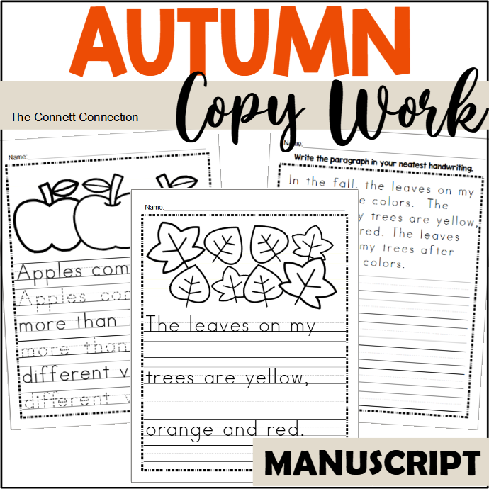 ACE Words Matching Mats | Made By Teachers