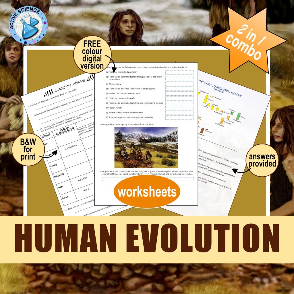 Human Evolution | Made By Teachers