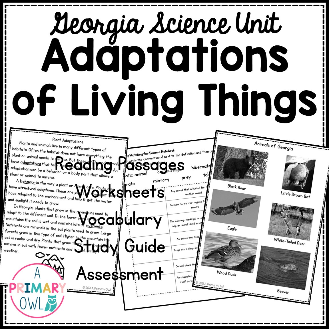 Economics 3rd Grade Georgia Social Studies Unit | Made By Teachers