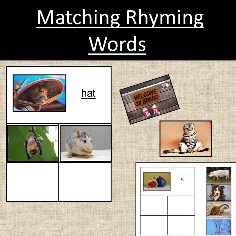 Types of Bears Habitats, Food, Continents, Predators Montessori ...