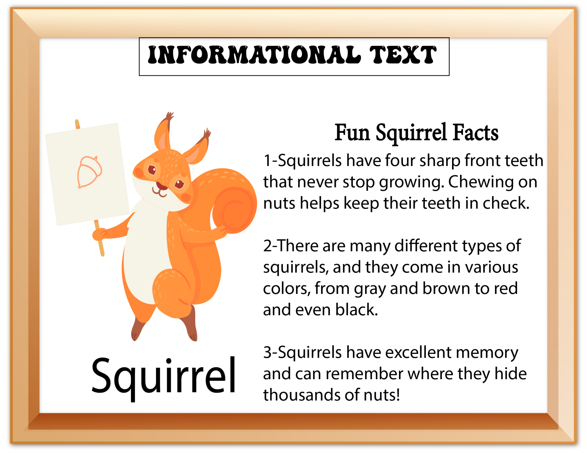 SQUIRREL Informational Texts - Autumn Bulletin Boards - Fall-themed ...