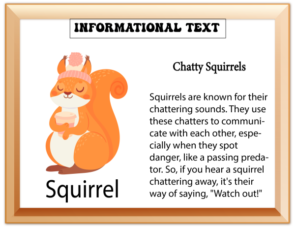 SQUIRREL Informational Texts - Autumn Bulletin Boards - Fall-themed ...