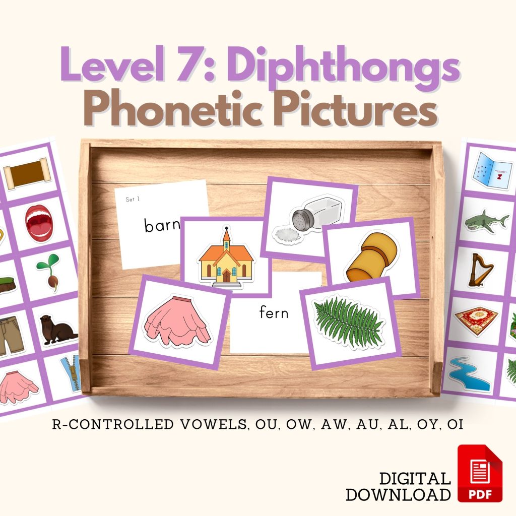 Montessori Language Phonetic Reading Diphthongs Picture Cards in PRINT ...