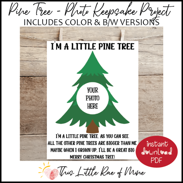 I'm A Little Pine Tree - Photo Keepsake Project - Printable - DIY Craft ...
