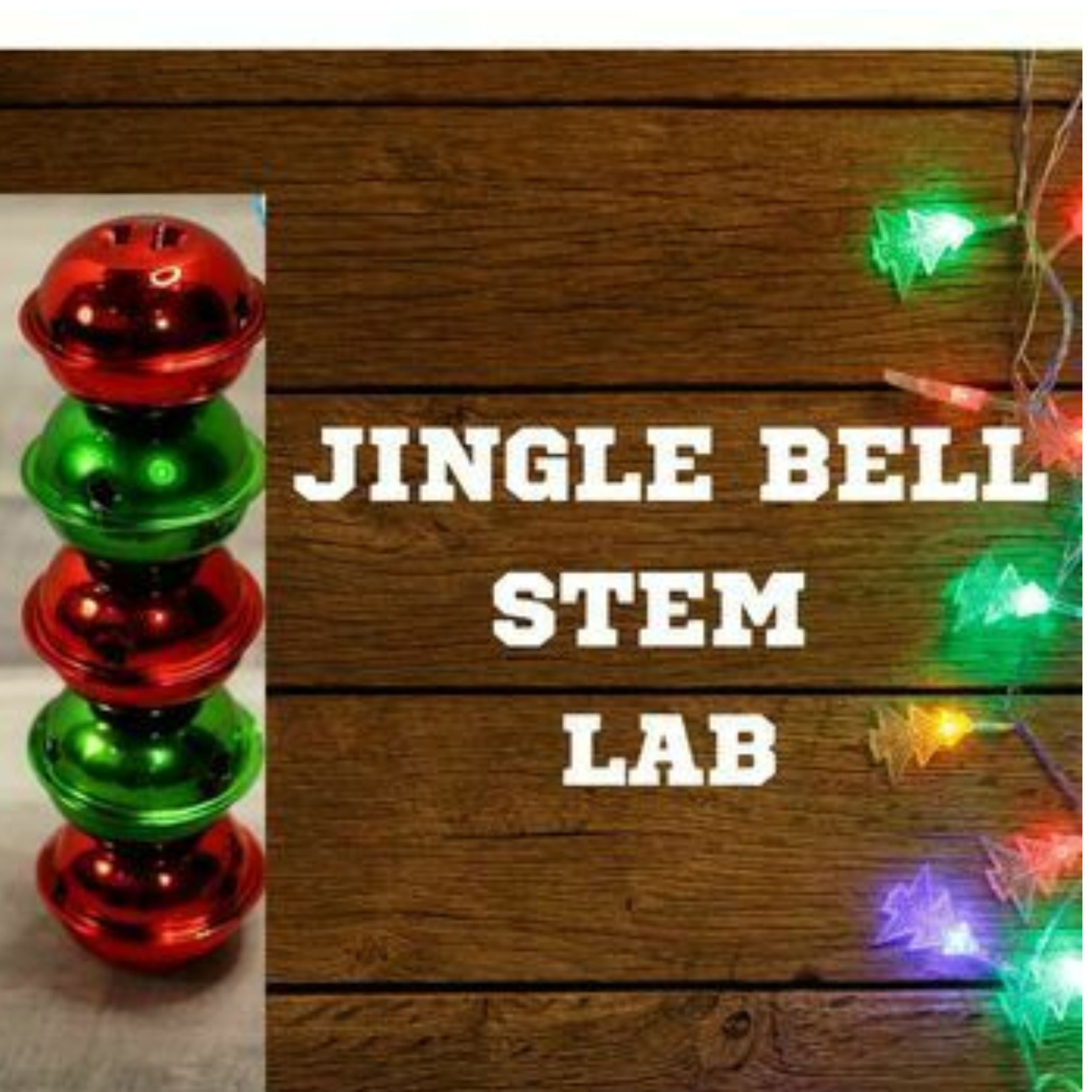 Magnetism-2 Labs and Reading Middle School Physics | Made By Teachers