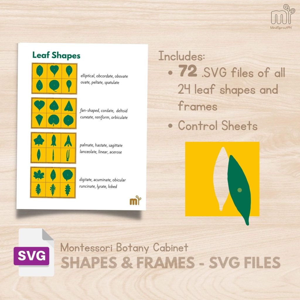 SVG Botany Cabinet Shapes Montessori Botany Puzzle Montessori Leaf SVG ...